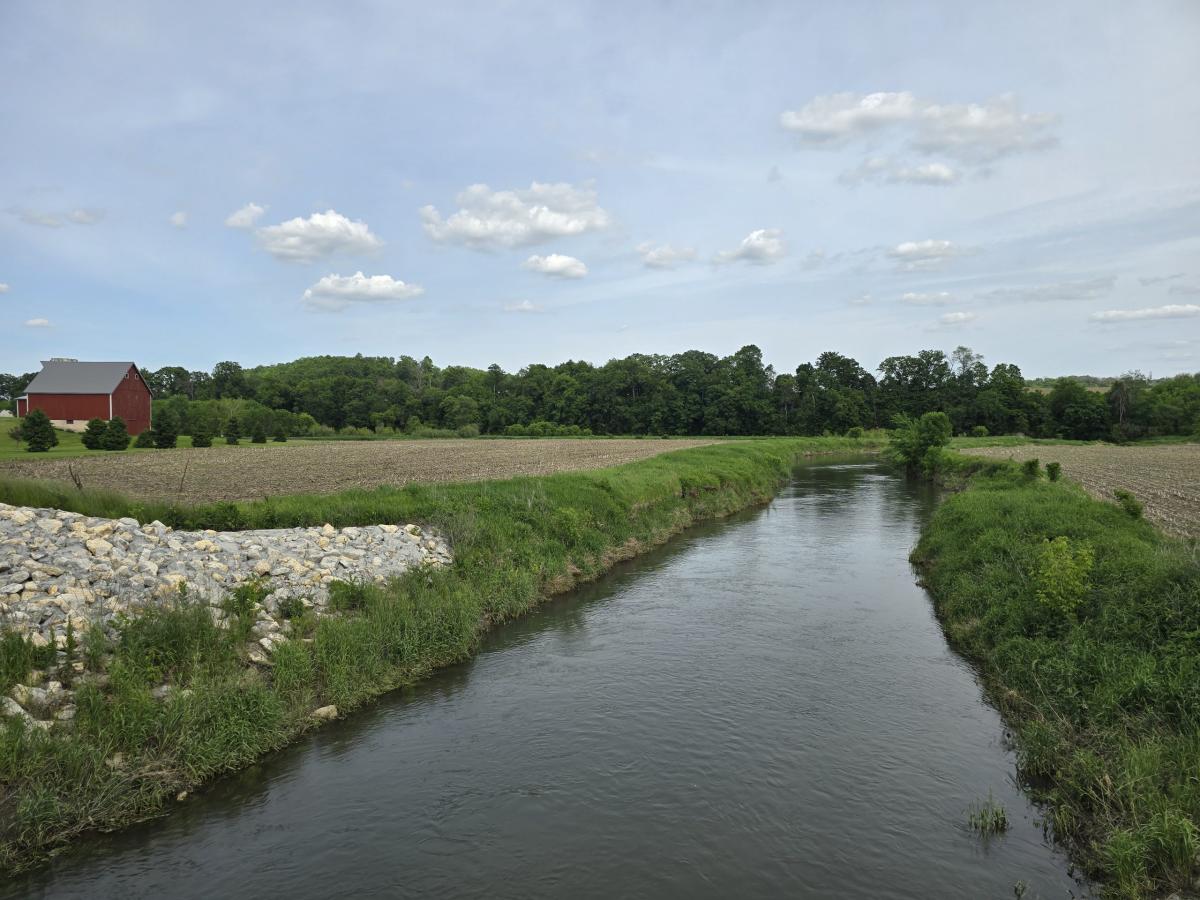 Meatpacking plants mostly pollute low-income, communities of color, EPA ...