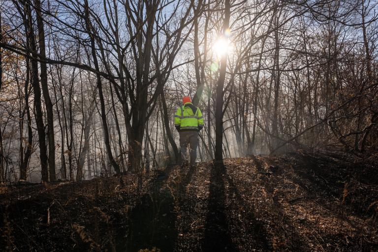 How New York farmers are dealing with drought — and unexpected brush ...