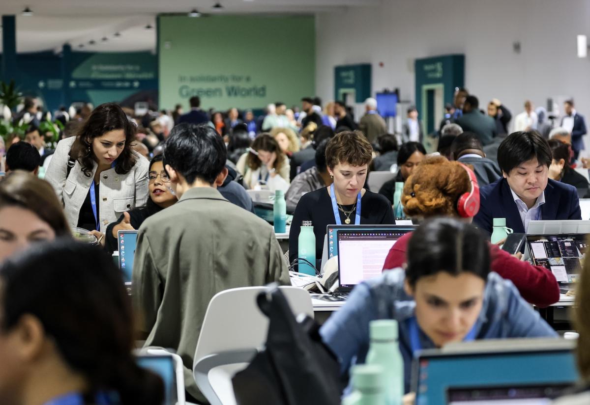 At COP29, new rules for carbon markets made them even more ...