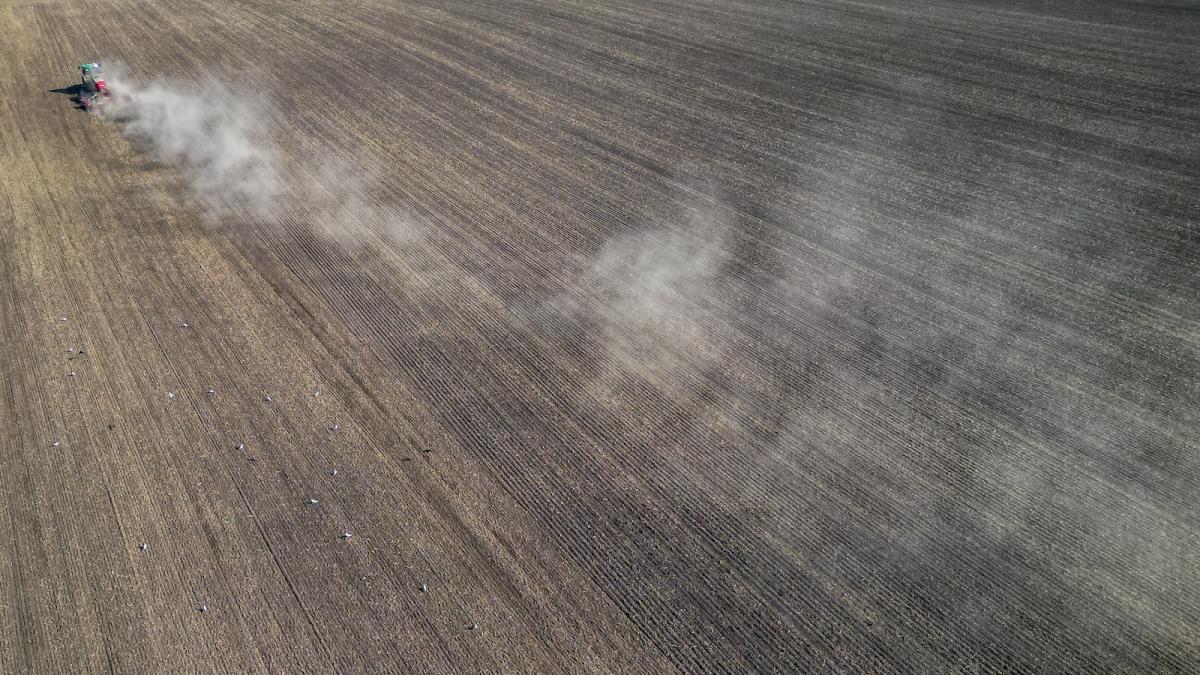 Three-quarters of the world's land is drying out, 'redefining life on ...