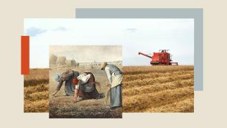 Gleaning: The ancient practice fighting modern food waste | Grist