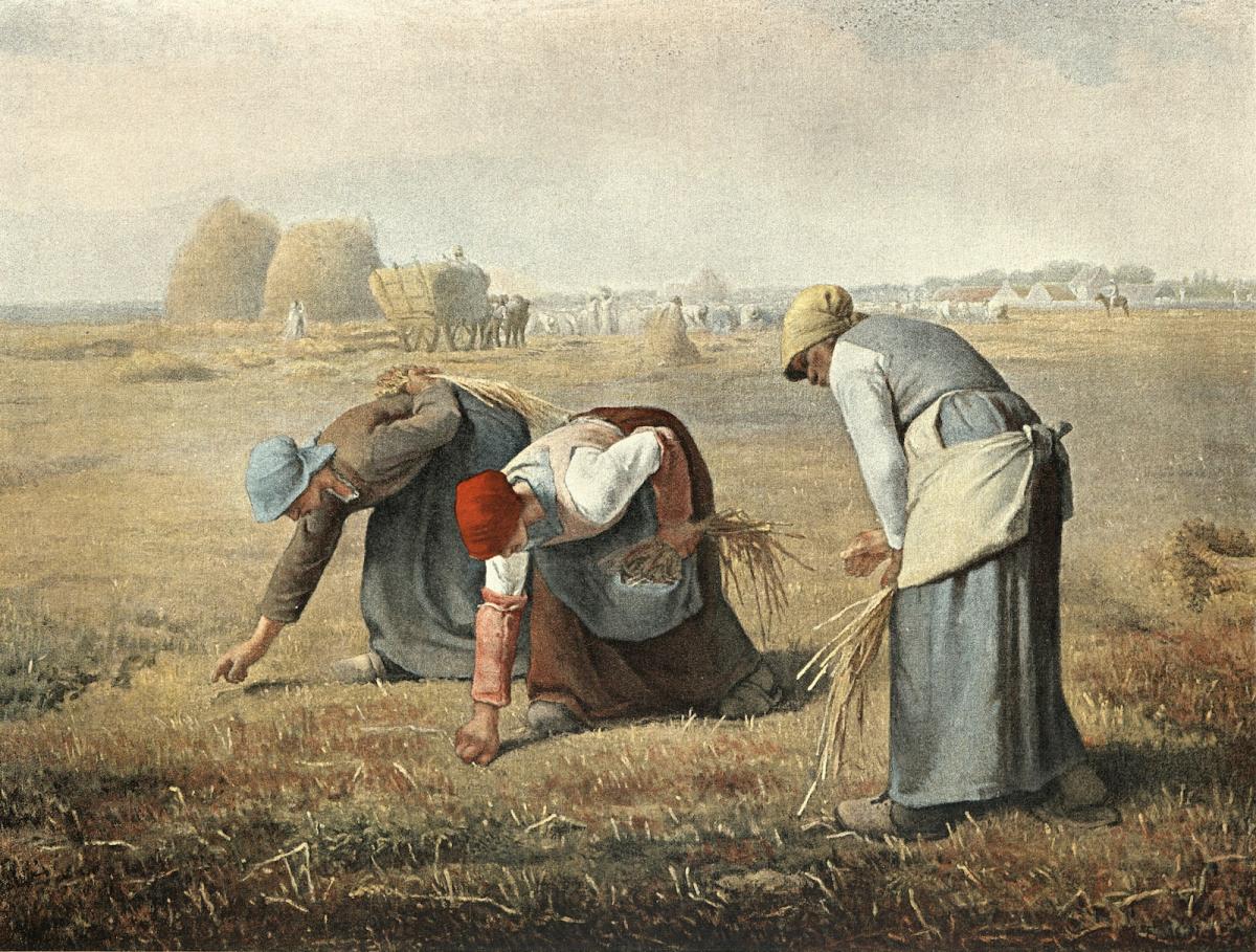 Gleaning: The ancient practice fighting modern food waste | Grist