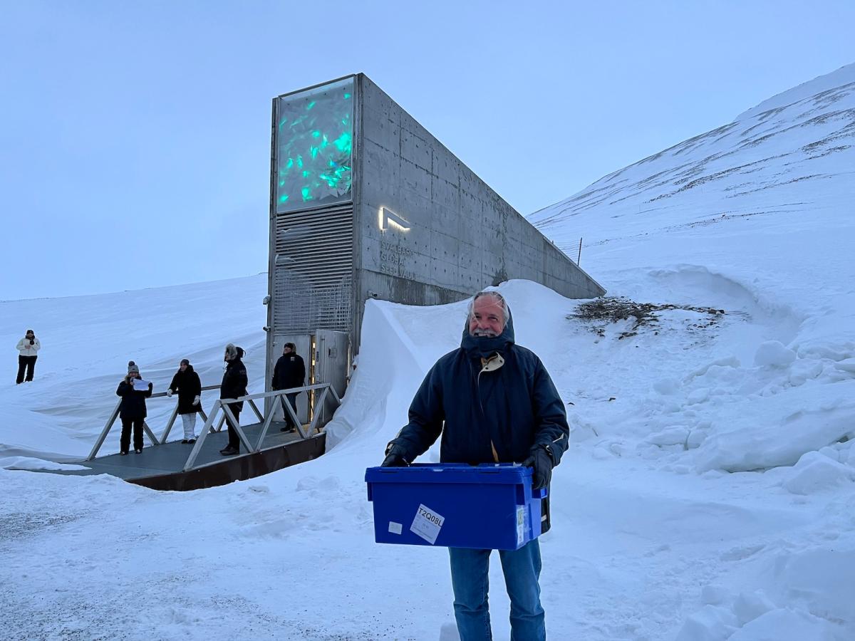 The Svalbard ‘doomsday’ seed vault just added thousands of climate ...