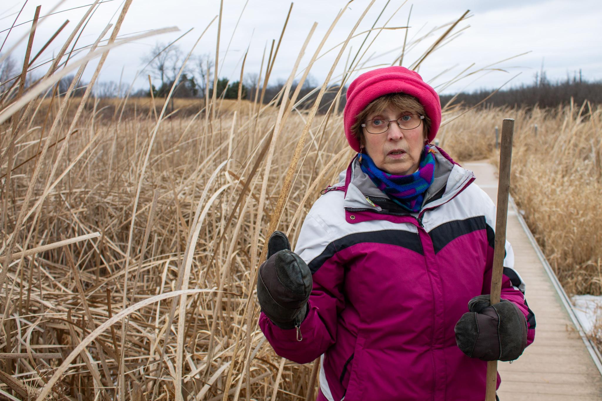 Bogs hold a key to climate solutions through carbon sequestration, but ...