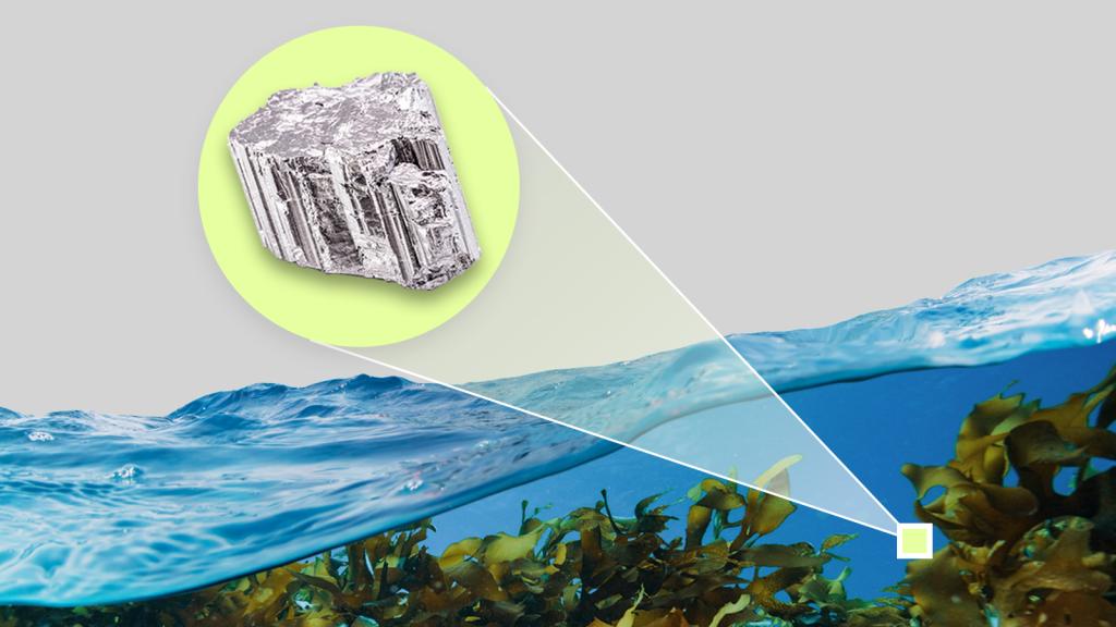 Unearthed: The Mining Issue - Grist | Grist