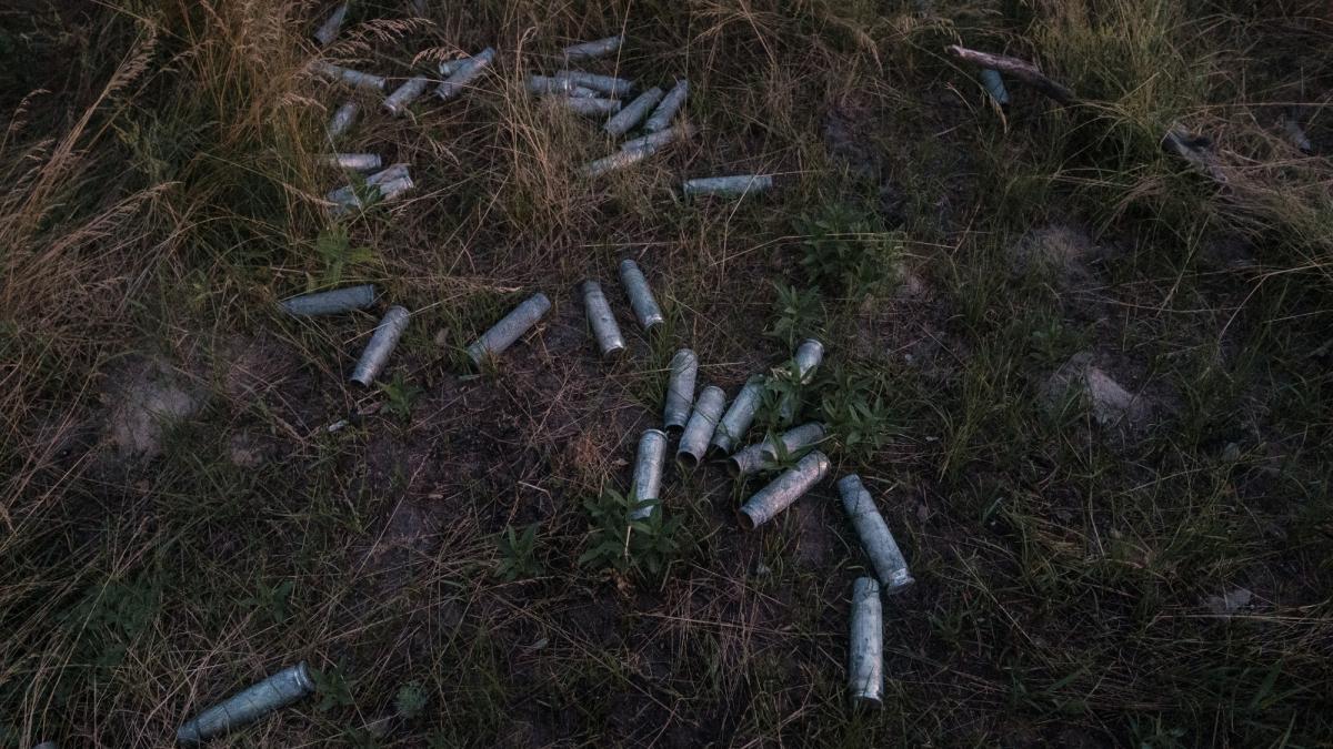 How 3 years of war have ravaged Ukraine’s forests, and the people who ...