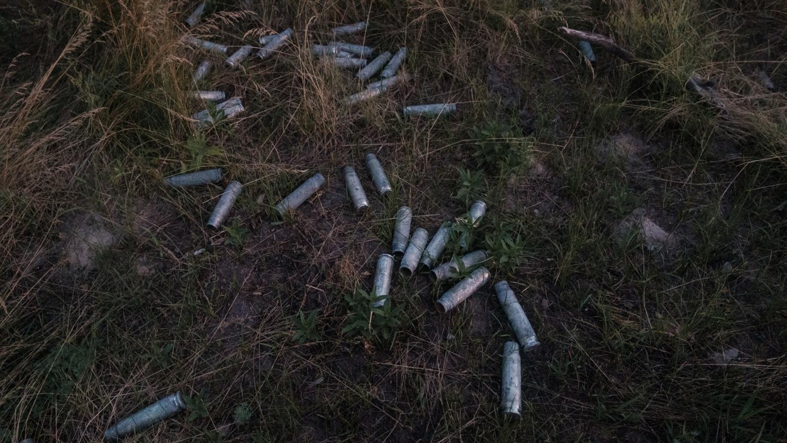 How 3 years of war have ravaged Ukraine’s forests, and the people who ...
