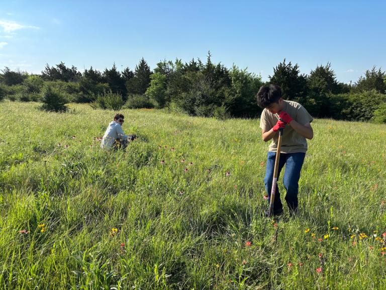 The guerrilla campaign to save a Texas prairie from 'silent extinction ...