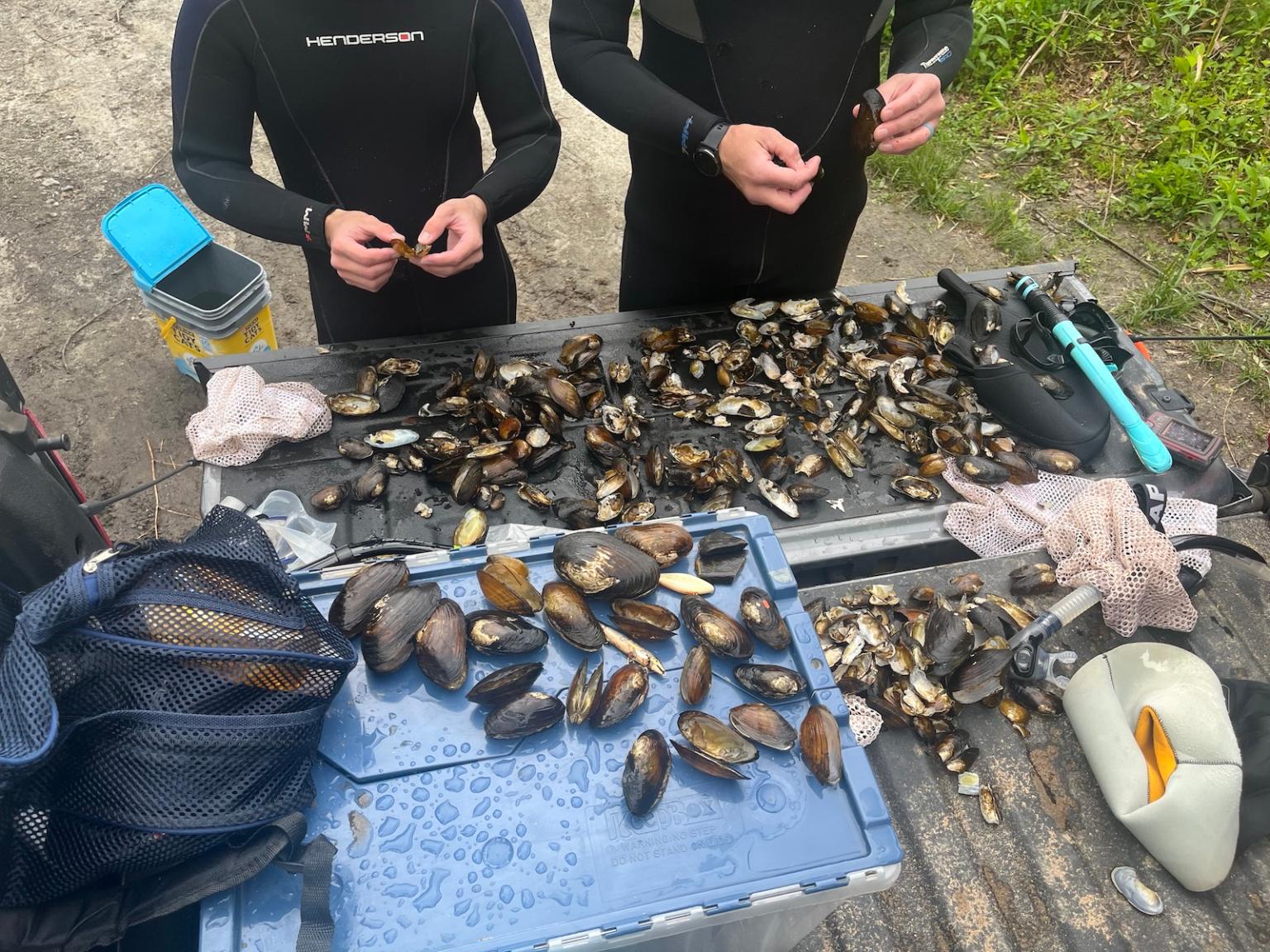 Clearing debris after a storm is big business. For some communities, it ...