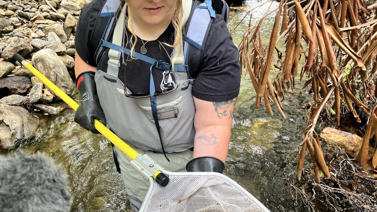 The struggle to save Appalachia’s native brook trout | Grist