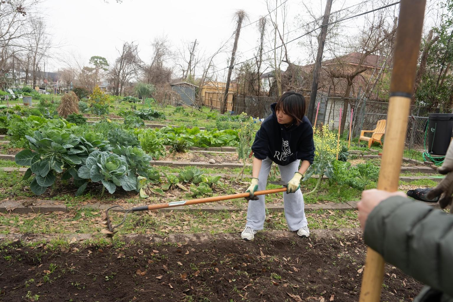 Urban farms can make cities more livable and help feed America | Grist
