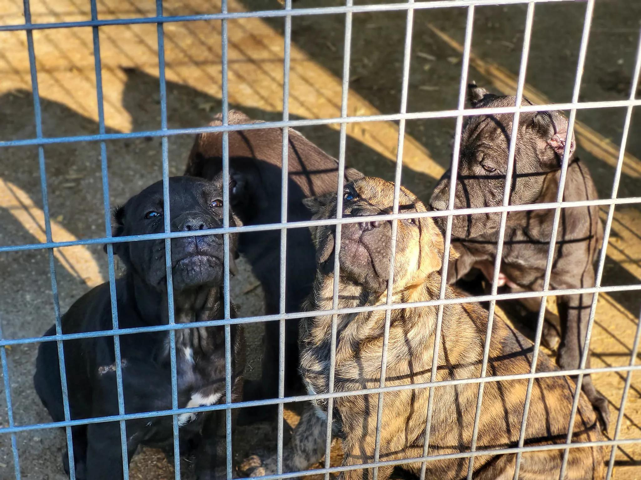 Louisiana town fights for relief after a billion-dollar oil disaster ...