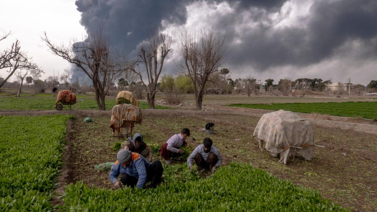 Iran was already running out of water. Then came the ‘war on ...