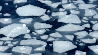Diving robots help crack the mystery of Antarcticas' vanishing sea ice ...